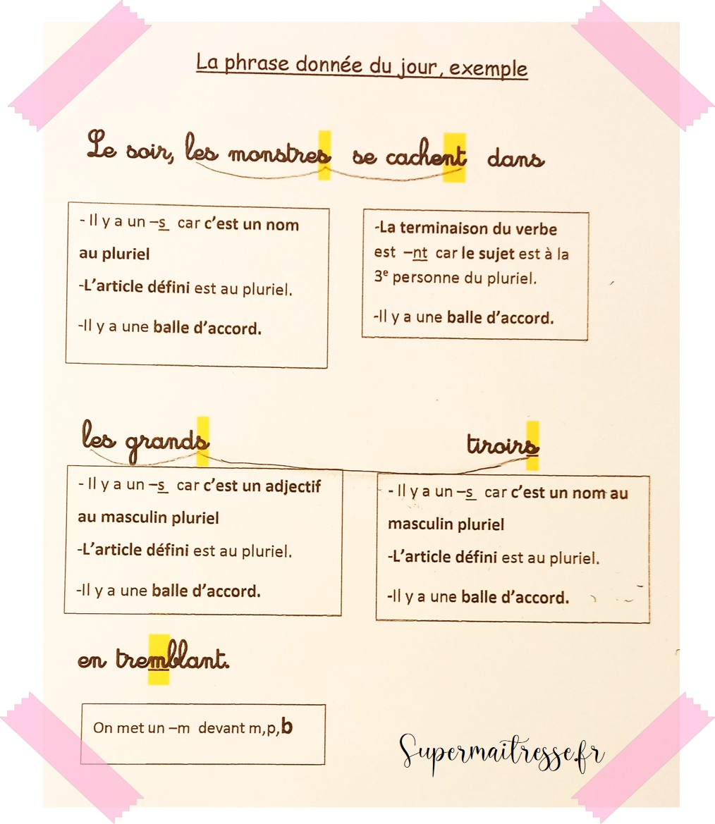 24 semaines de dictées réflexives quotidiennes cycle 2 inspirées du ...